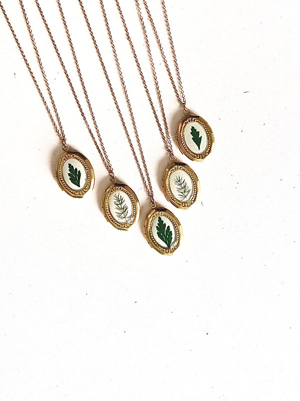 ALL PRODUCTS - Figs & Ginger